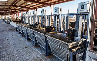 C-Lock Inc. | Measure & Control Feed Intake & Emissions